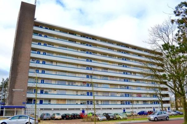 Appartement te huur in Alkmaar (Honthorstlaan - €940/64m2) | Kamer.nl