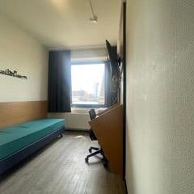 Room, Apartment or Studio rent in entire Netherlands | Kamer.nl
